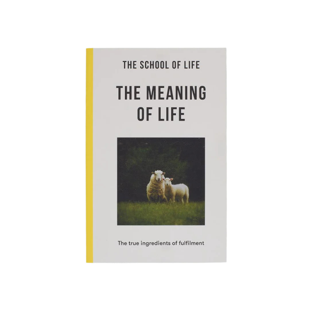 The Meaning of Life Book – Papersmiths