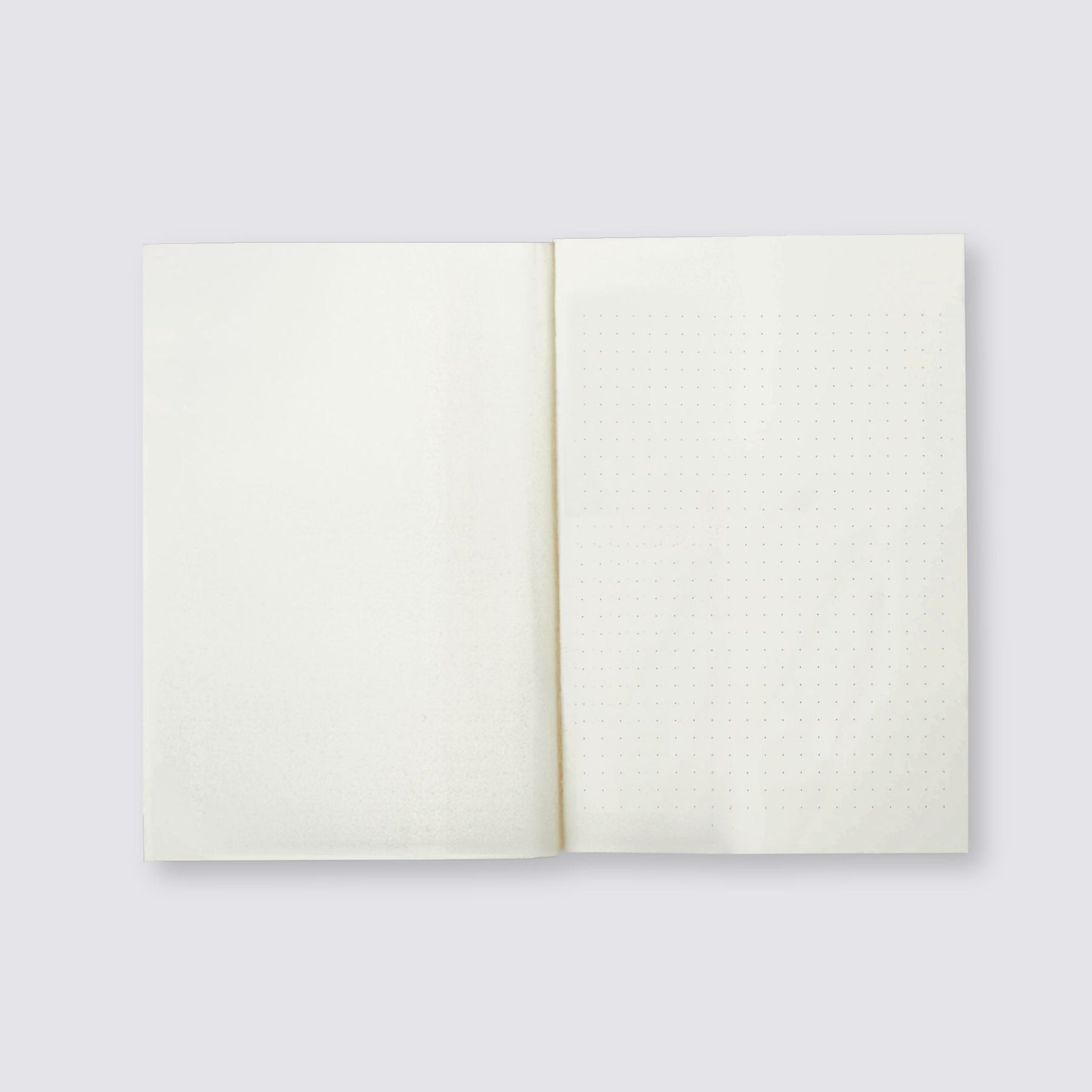Greige Graph A5 Notebook - Dot Grid and Plain – Papersmiths